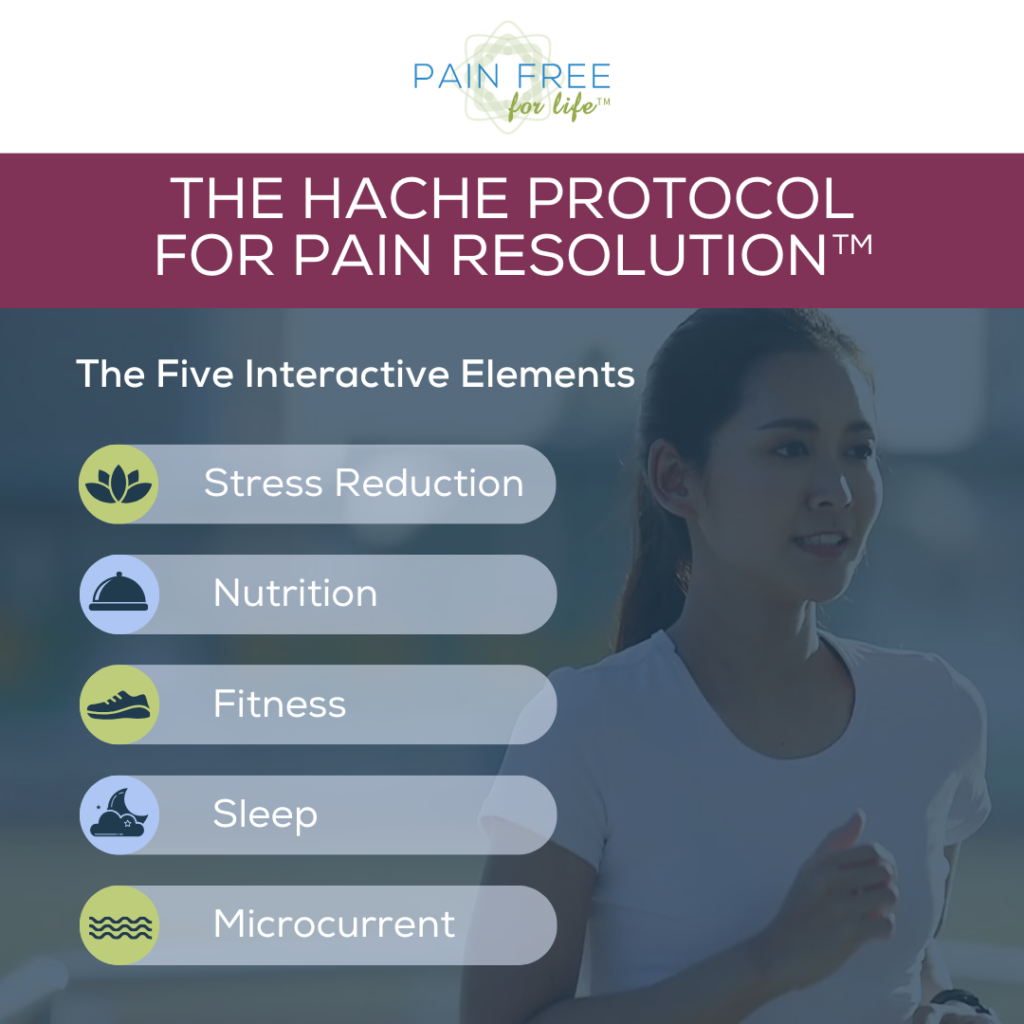 End-of-Year Wellness Check-in: Is the Hache Protocol Reset for You ...